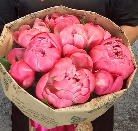 Букет из 9 коралловых пионов – купить красивый подарок с доставкой по ...
