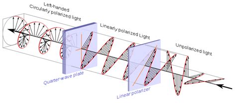 Polarizing Filter Demonstration And Explanation