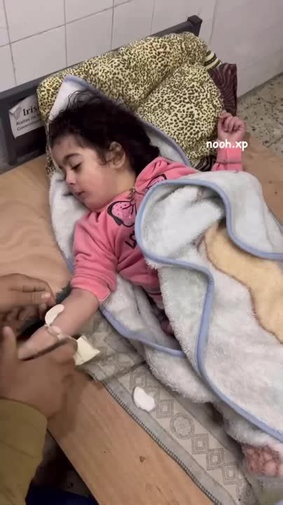 [video] Sadaf Khan Posted On Linkedin