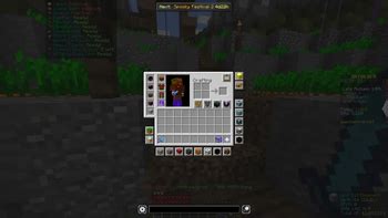 NotEnoughUpdates Gallery