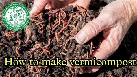 HOW TO MAKE VERMICOMPOST DR YSR HORTICULTURAL UNIVERSITY YouTube