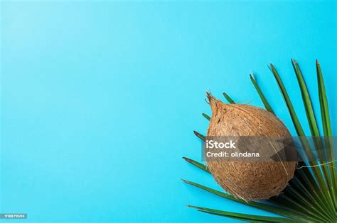 청록색 밝은 파란색 배경에 팜 나무 잎에 완전히 익은 코코넛 코너 위치입니다 포스터 전단에 대 한 템플릿입니다 열 대 휴가 웰빙 스파 비치 파티입니다 오일 푸터 바 브 피부
