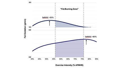 Fat Burning During Exercise Varies Widely Between Individuals Mount