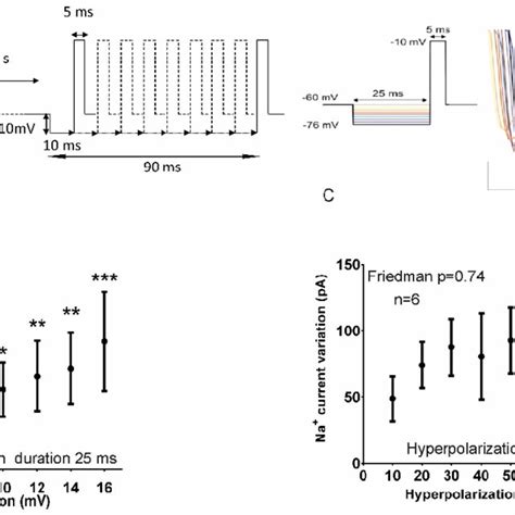 Membrane Pre Hyperpolarization Resulted In An Amplification Of Na Download Scientific Diagram
