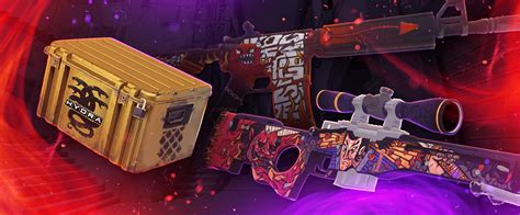 Best Cs2 Cs Go Cases To Open In 2025 For Most Roi