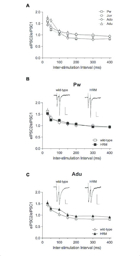 Maturational Profile Of Short Term Plasticity A Paired Pulse