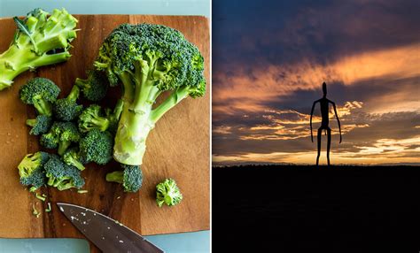 Broccoli Gas Might Be A Guide To Find Life On Alien Worlds Science