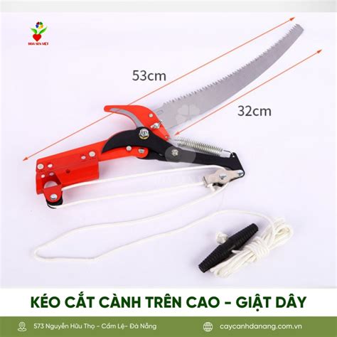 Kéo Cắt Cành Cây Trên Cao Giật Dây Kunbe