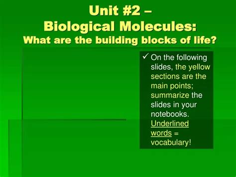 PPT Unit Biological Molecules What Are The Building Blocks Of Life PowerPoint