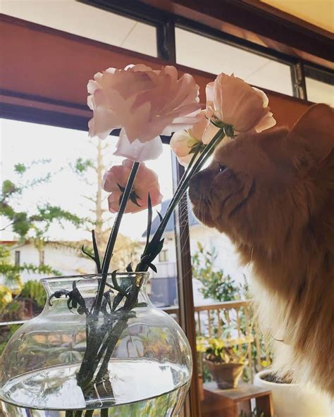 森山直太朗さんのインスタグラム写真 森山直太朗instagram「日曜みたいな月曜日。 東京 気温21℃ 知人宅」2月22日