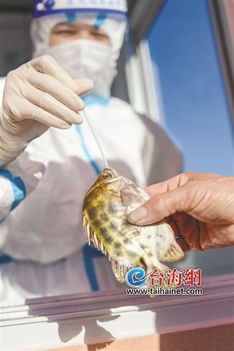 厦门给鱼做核酸？当地回应：目前全员核酸，渔获也需核酸