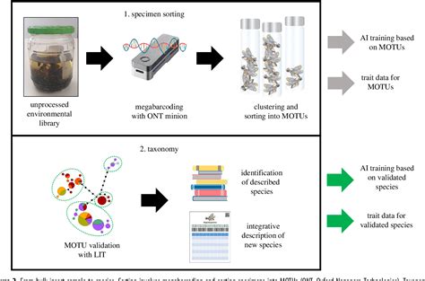 Figure 2 from Towards holistic insect monitoring: species discovery, description, identification ...
