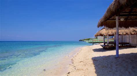 Moalboal Travel Guide Best Of Moalboal Central Visayas Travel 2025