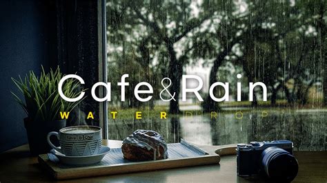 아늑한 카페에서 듣는 빗소리 휴식 및 진정 스트레스해소 백색소음 비오는소리8시간asmr Youtube