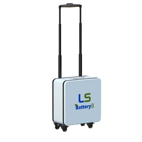 Dongguan Liushi Lithium Technology Co Ltd