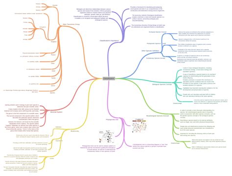 Classification Coggle Diagram