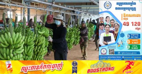 ក្រសួងការងារ បញ្ជាក់ថា តម្រូវការកម្លាំងពលកម្មបច្ចុប្បន្នមានជិត ៥ម៉ឺនកន្លែង និងជាច្រើនមុខជំនាញ