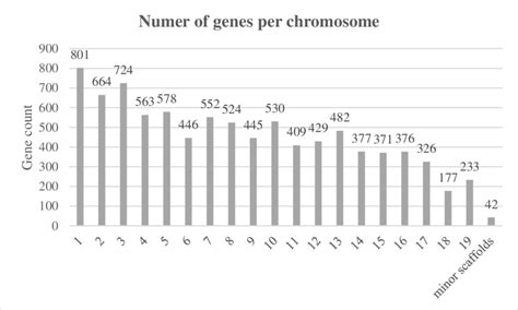 Frequency Histogram Of Annotated Gene Number Per Chromosome Of Download Scientific Diagram