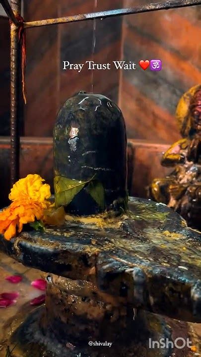 Jaikal Mahakal ️🔱🙏shortsyoutubeshortstrendingsongviralvideo
