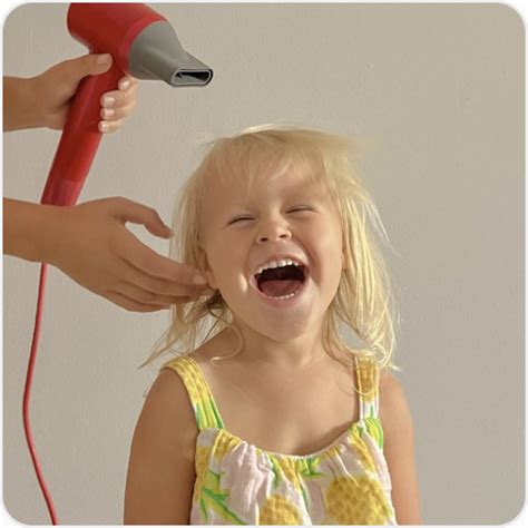 Laifen Se Quiet Lightweight High Speed Hair Dryer Laifen Eu