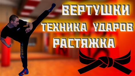 В гостях у ЧЕРНОГО ПОЯСА ПО ТХЭКВОНДО - YouTube