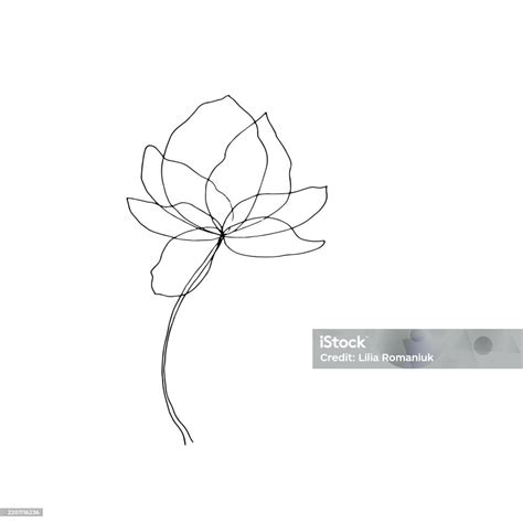 투명 한 꽃잎과 잎 흑인과 백인 벡터 일러스트 레이 션 구성은 직물 타이포그래피 엽서 디자인에 대 한 흰색 배경 베이스에 고립 되어 있습니다 0명에 대한 스톡 벡터 아트 및