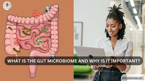 What Is The Gut Microbiome And Why Is It Important