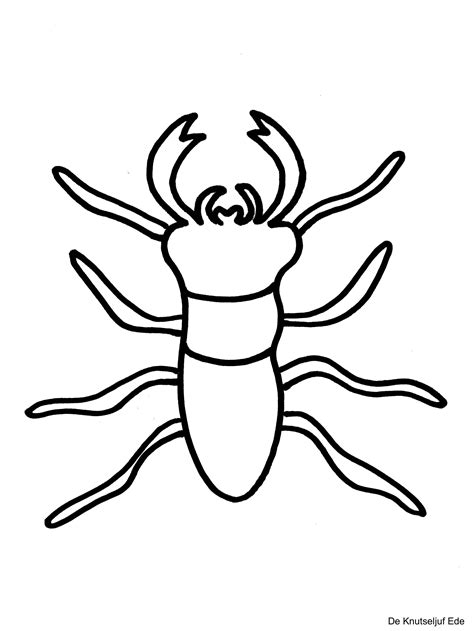 Kleurplaat Insecten At Kleurplaat