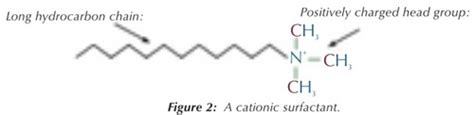 Amines And Amides Flashcards Quizlet