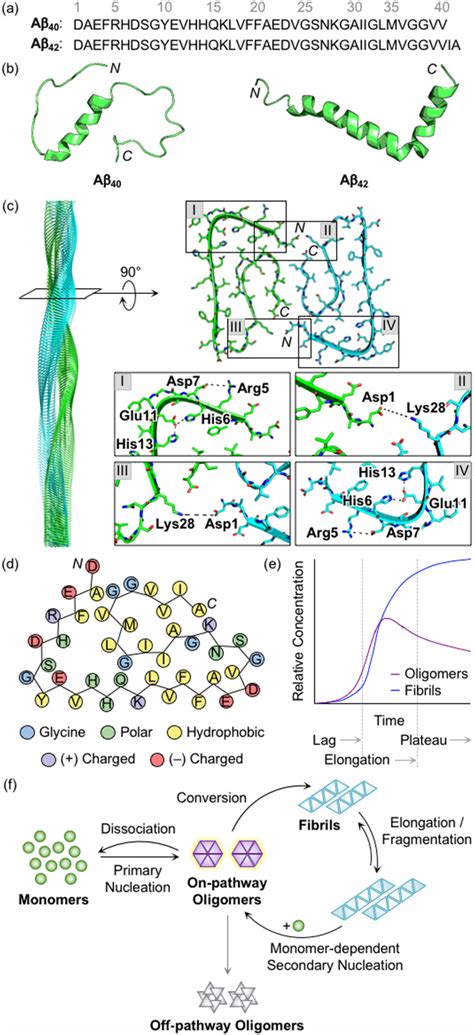Current Understanding Of Metal Dependent Amyloid β Aggregation And Toxicity Pmc
