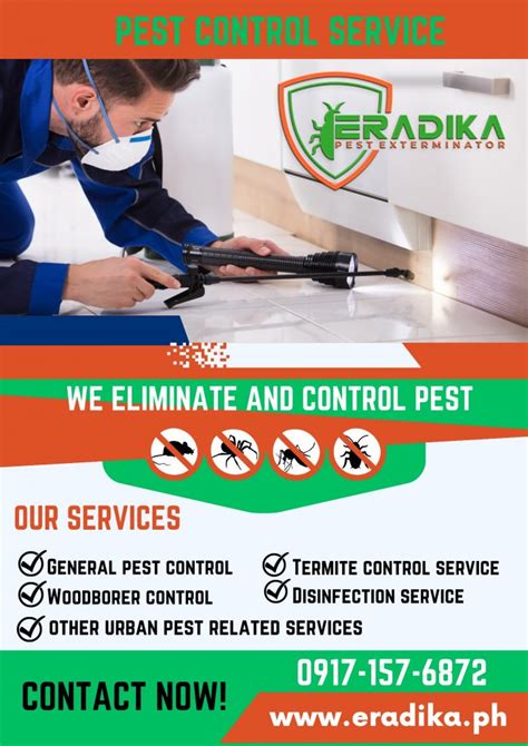 Pamatay Anay Sa Kahoy Mga Mabisang Paraan Eradika Pest Exterminator