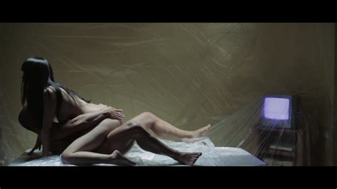 Adult Empire Award Winning Retailer Of Streaming Porn Videos On Demand Adult Dvds And Sex Toys