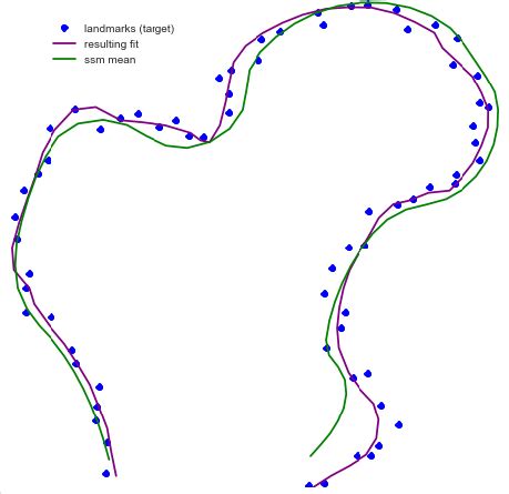 Active Shape Model Fitting Result Download Scientific Diagram