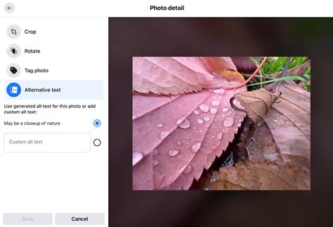 How To Use Ai To Tag And Organize Your Photo Library Popular Photography