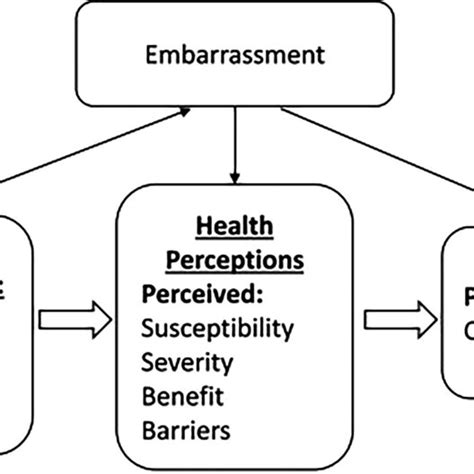 Expanded Hbm Illustrates The Expanded Hbm With The Added Concepts Of Download Scientific