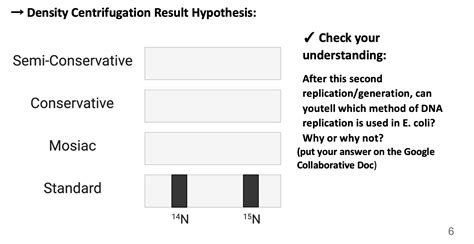 Solved Second Round Of DNA Replication Drawing Hypothesis Chegg