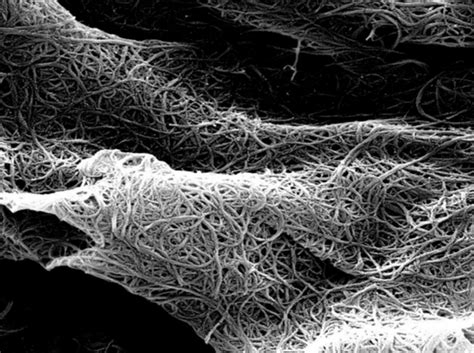 Mse Pro High Purity 95 Wt Single Walled Carbon Nanotubes Moving C