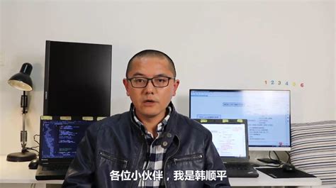 韩顺平（国内著名软件培训高级讲师） 经历网