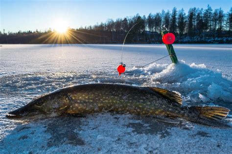 Best Places To Go Ice Fishing In Michigan Travel With Pedro