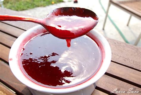 Gem De Corcoduse Rosii Retete Culinare Cu Laura Sava Cele Mai Bune