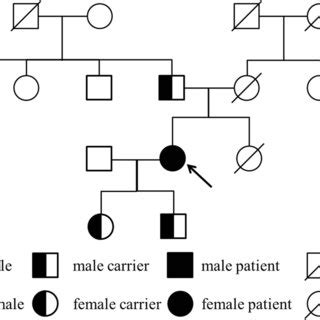 Abbreviations Cox Cyclooxygenase Gs Gitelman Syndrome Ncct Na Cl