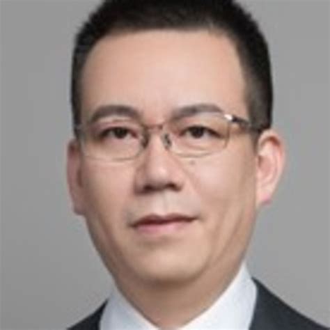 Zhiyun Lin Professor Full Phd Southern University Of Science