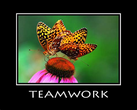 Teamwork Inspirational Motivational Poster Art Photograph By Christina Rollo