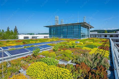 A Modern Ecofriendly Green Roof Covered In Lush Vegetation And