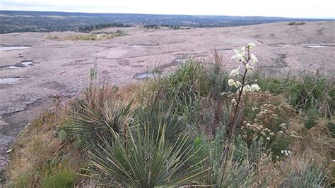 Bootcamp Notes Day 2 Tues Nodejs Week 1 Node And