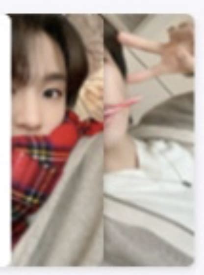 [잡담] 제노 포카가 또 아니야 좋아 준비됐어 나에게 와라 인스티즈 Instiz 연예 카테고리