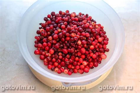 Морс клюквенный с корицей и бадьяном. Рецепт с фото