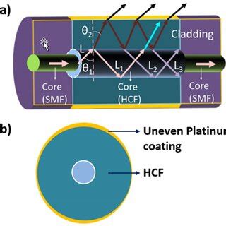 A A Schematic Diagram Of The Proposed HCF Structure Showing The Download Scientific Diagram