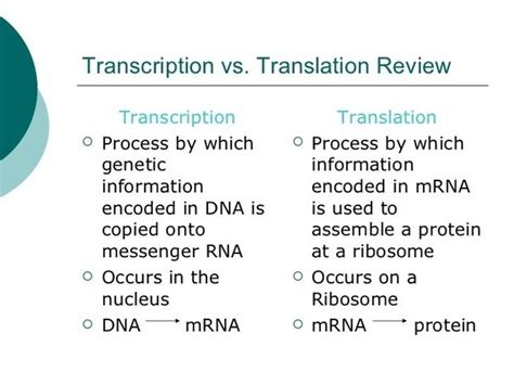 Diagram Transcription And Translation Venn Diagram Mydiagramonline