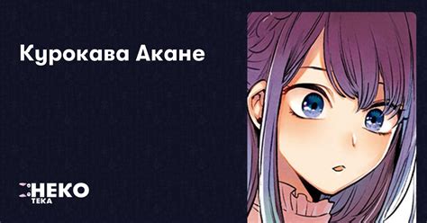 Курокава Акане НекоТека